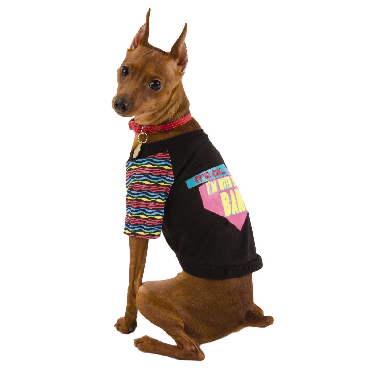 PetSmart and Bret Michaels Introduce Retro Neon-Themed Dog Toys ...