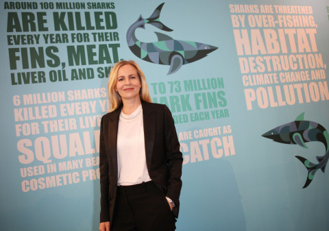 Selfridges Project Ocean Speaks Out for Sharks and Announces New ...