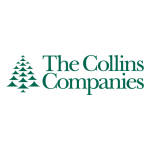 Collins Launches New Highly Moisture Resistant Particleboard | Business ...