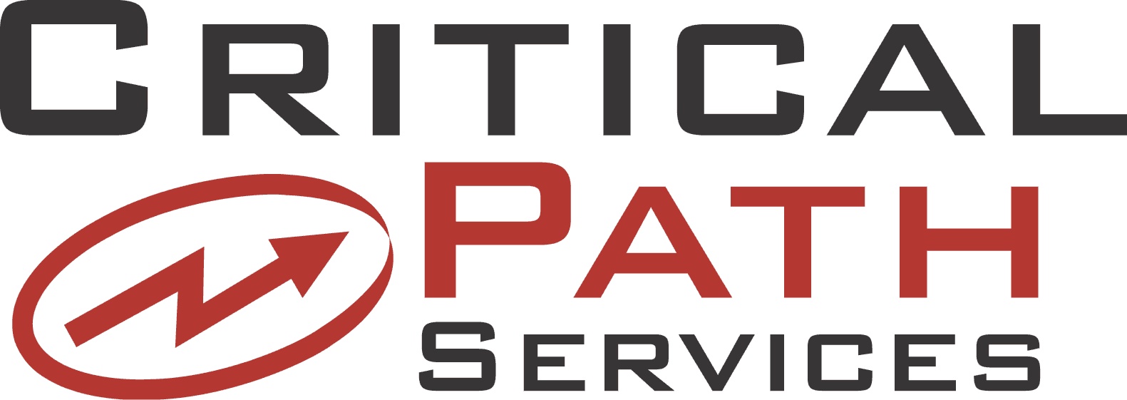 Critical Path Services to Join the knoell Group | Business Wire