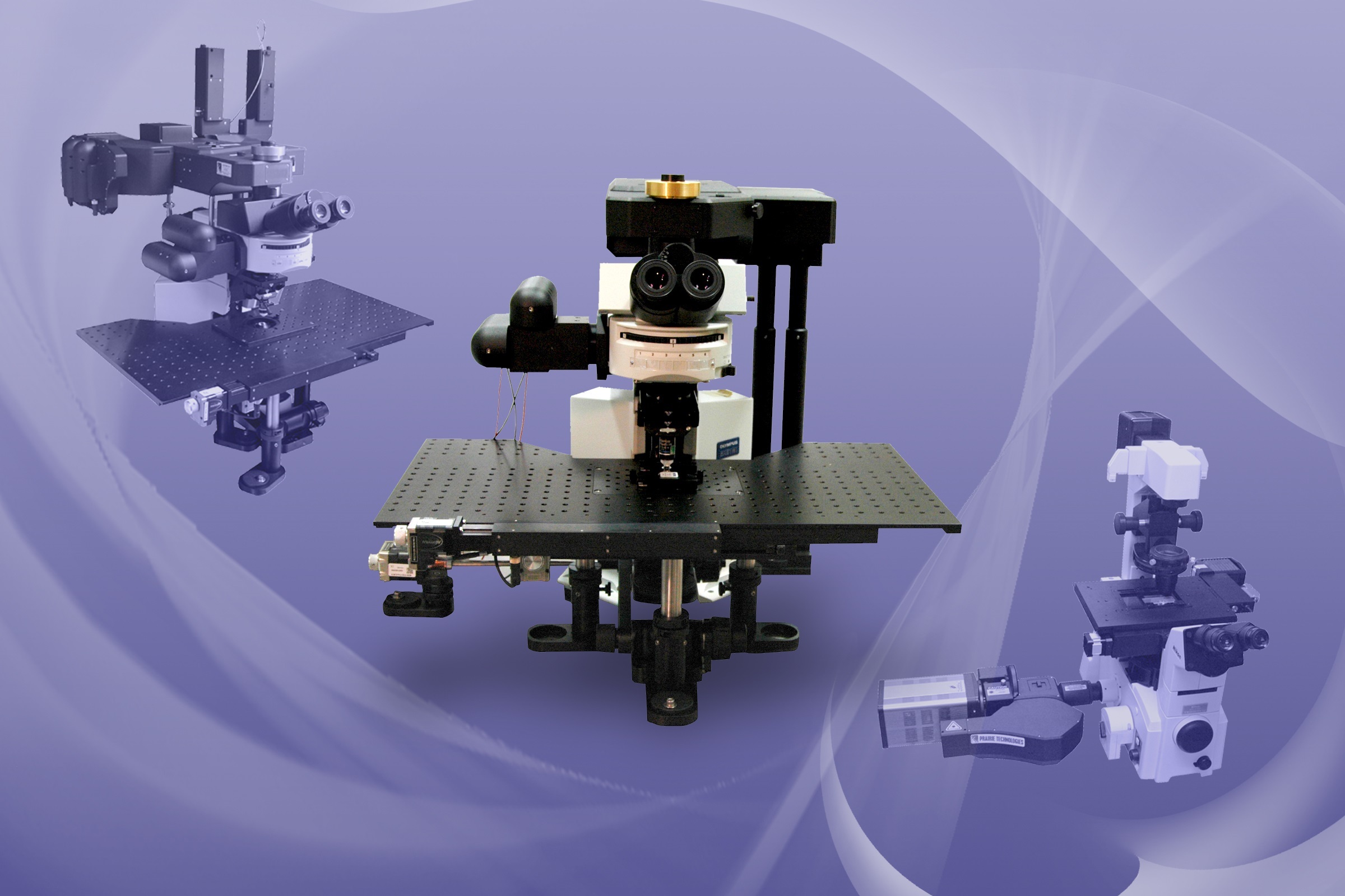 Bruker Announces Acquisition of Prairie Technologies | Business Wire