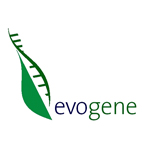 Syngenta and Evogene Extend Soybean Nematode Resistance Collaboration ...