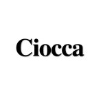 Company Profile for Faulkner-Ciocca Dealerships | Business Wire