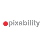 Pixability Announces Industry’s First Programmatic YouTube TrueView ...