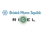 Rigel and Bristol-Myers Squibb Announce Research and Development ...