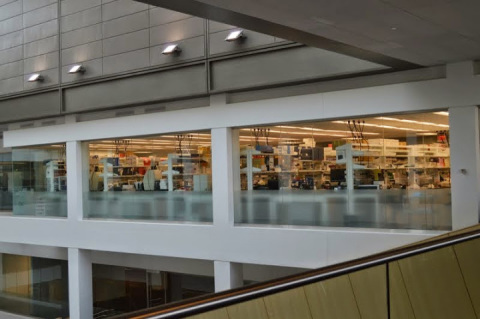 BioSurplus To Hold Auction of Lab Equipment from Oncology Biotech in ...