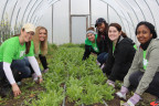 BGE Kicks Off a Month of Service Events Today at Real Food Farm in ...