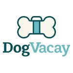 DogVacay Introduces Daycare to Enter $1B Market as Its Newest Pet Care ...