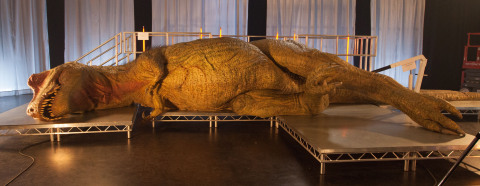 National Geographic Channel Peels Back the Skin to Go Deep Inside One ...