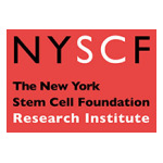 New York Stem Cell Foundation Names Maurie Perl Senior Vice President ...