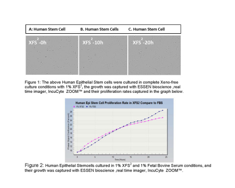 Celprogen Introduces Xeno-Free Serum Substitute [XFS2], an Ideal Cell ...