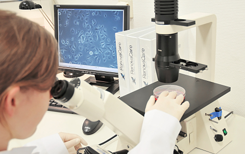 RenovaCare, Inc. Enters R&D Partnership with World Leading Charité ...