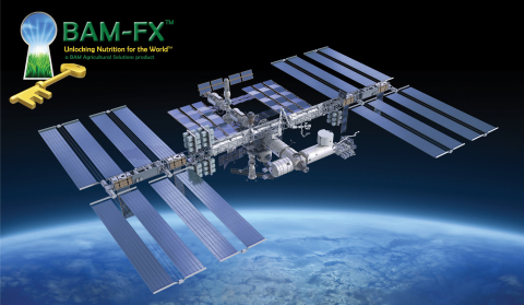 Zero Gravity Solutions Inc. will Fly BAM-FX™ to the International Space Station Aboard SpaceX ...