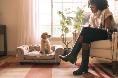 Wayfair - Wayfair Launches New Ad Campaign, “Explore the Great Indoors”