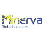 ミネルヴァがナイーブ型幹細胞成長因子を発見 | Business Wire