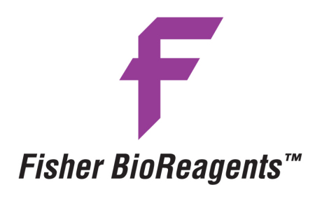 A Faster Way to Separate Proteins with Electrophoresis | Business Wire