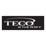 TECO Energy Reports First-Quarter Results | Business Wire