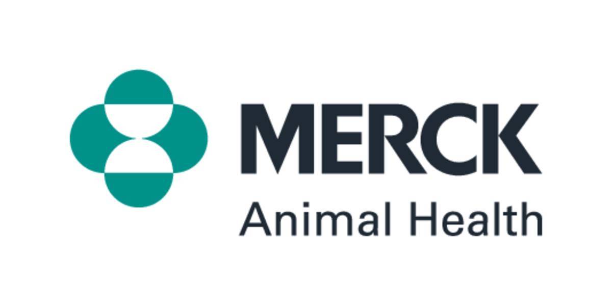 Merck Animal Health Takes Canine Influenza Education Campaign ...