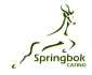 Springbok to Debut New Game, Witch’s Brew, October 4th | Business Wire