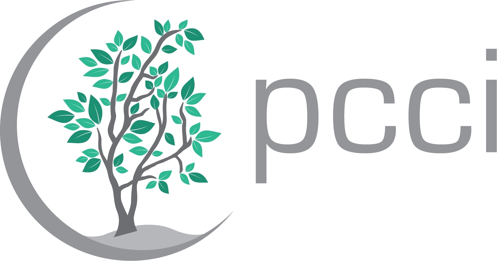 Growing Team: PCCI Hires VP, Data Science | Business Wire
