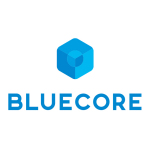Can’t Beat ‘em? Report from Bluecore Says Retailers Should Embrace ...