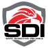 SDI Appoints Don Levantin to the Board of Directors | Business Wire