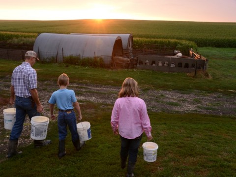 Niman Ranch Raises Consumer Appetites for Sustainable, Humanely Raised ...