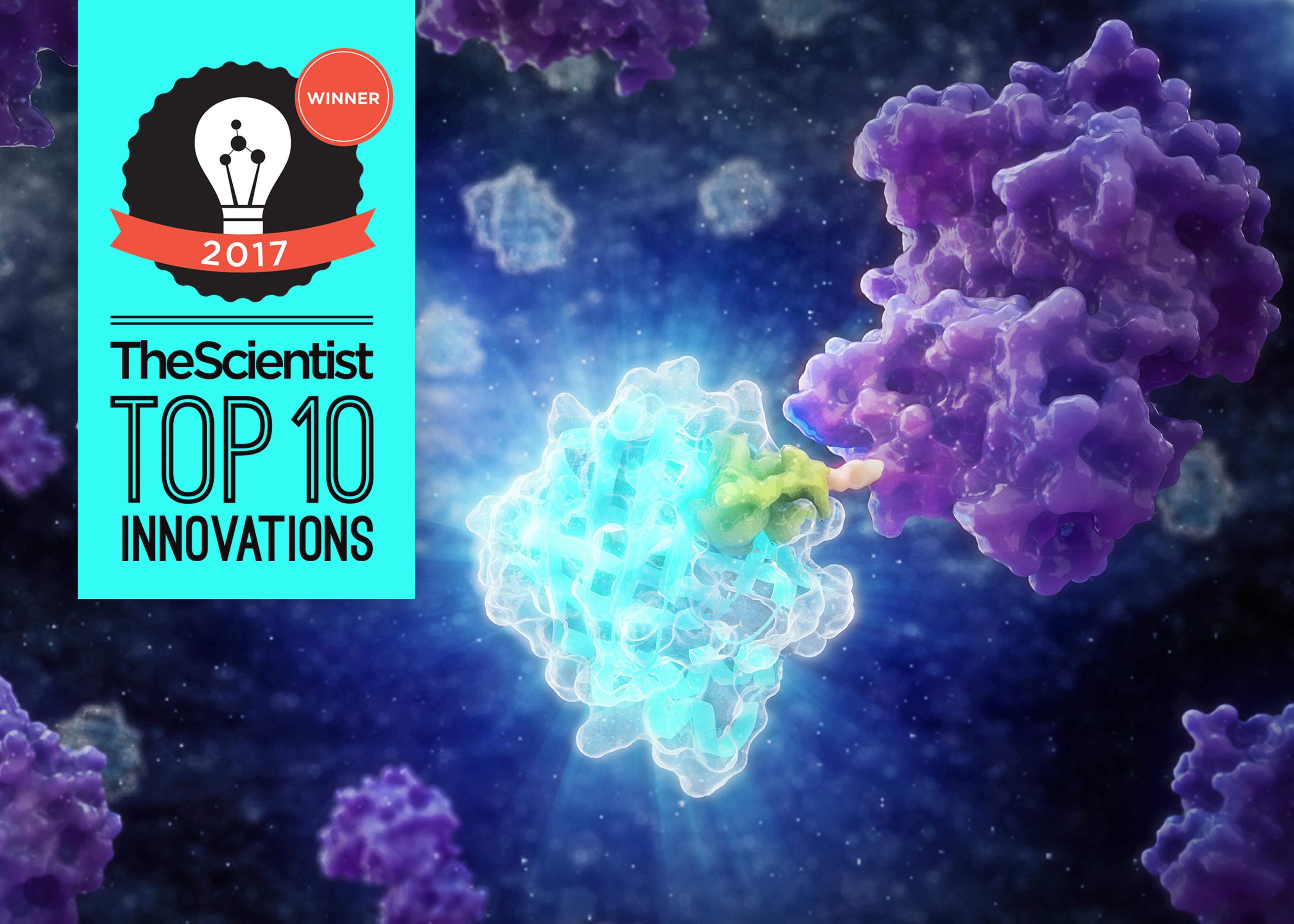 Promega HiBiT Protein Tagging System Named a 2017 Top 10 Innovation ...