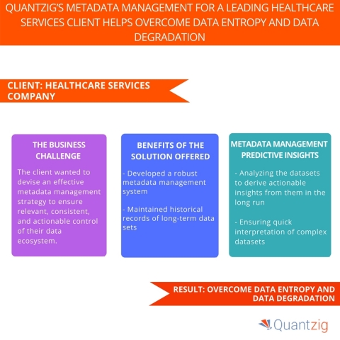 Healthcare Services Client Developed a Robust Metadata Management ...