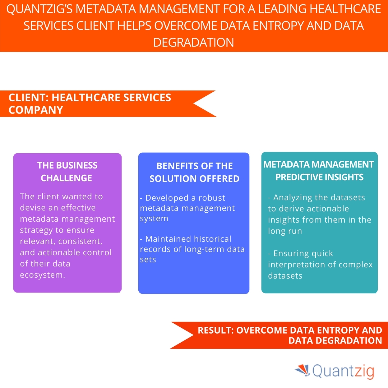 Healthcare Services Client Developed a Robust Metadata Management ...