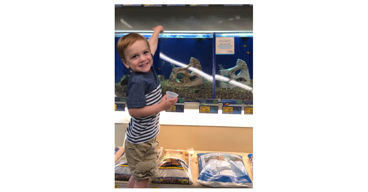 PetSmart Expands In-Store Events to Include Sample Saturdays, Camp ...