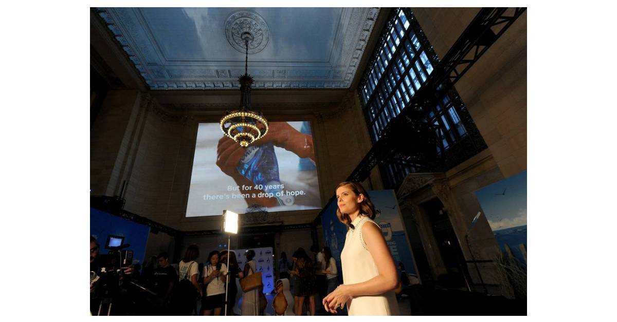 Dawn Commemorates 40 Years of Helping Save Wildlife | Business Wire