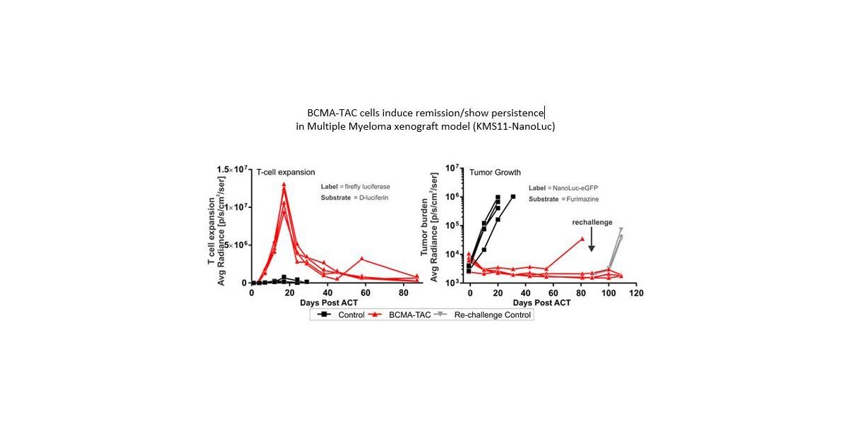 Triumvira Presents Data on T Cell Antigen Coupler (TAC) Technology at ...