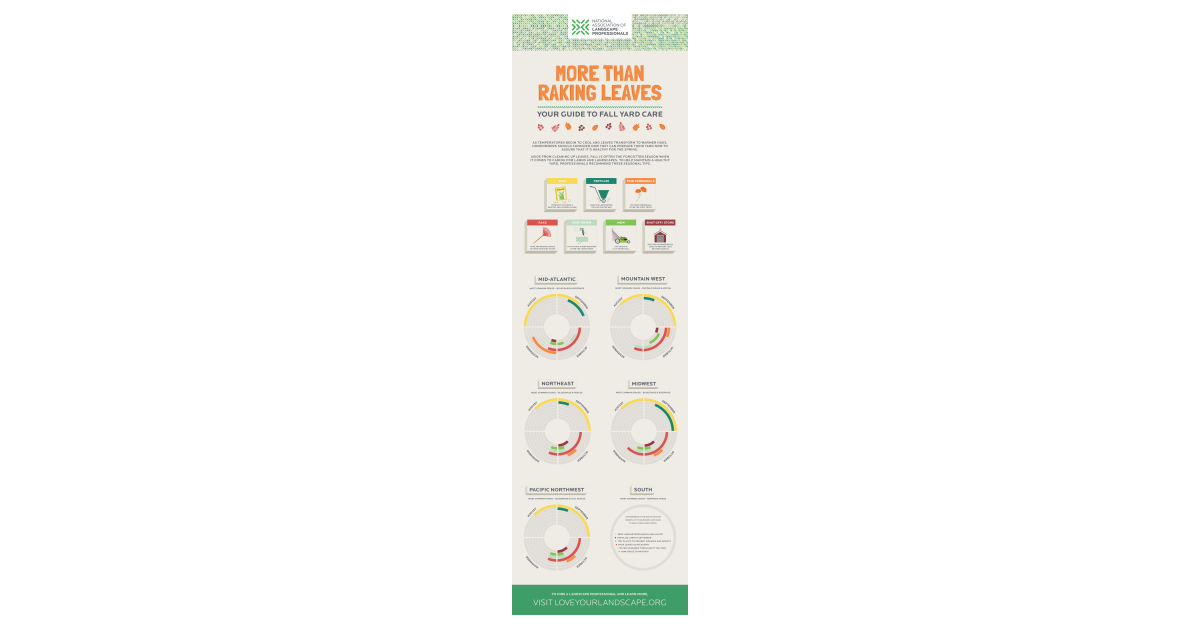 More Than Raking Leaves: Pros Share Top Tips for Fall Yard Care ...