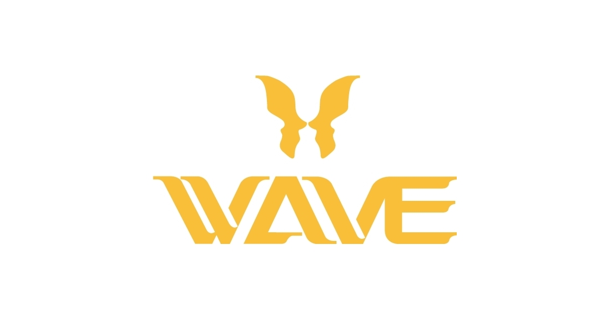 WAVE Plastic Surgery Announces 4th Annual Beauty Expo | Business Wire