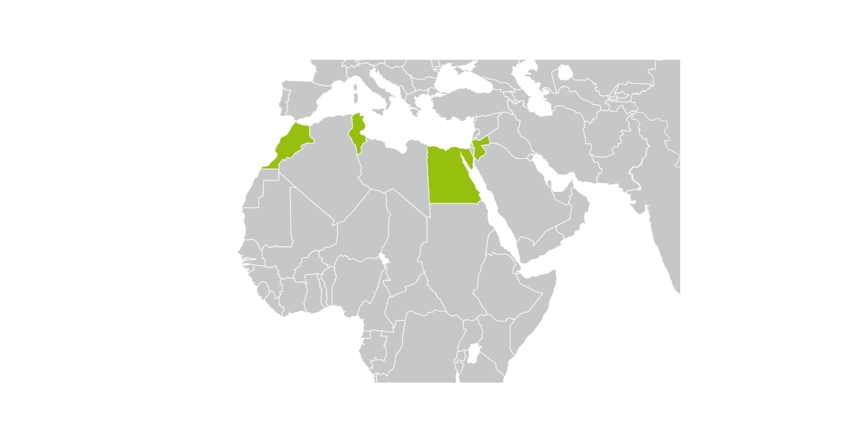 Capacity Building to Unlock Private Finance for Green Energies: RENAC's ...