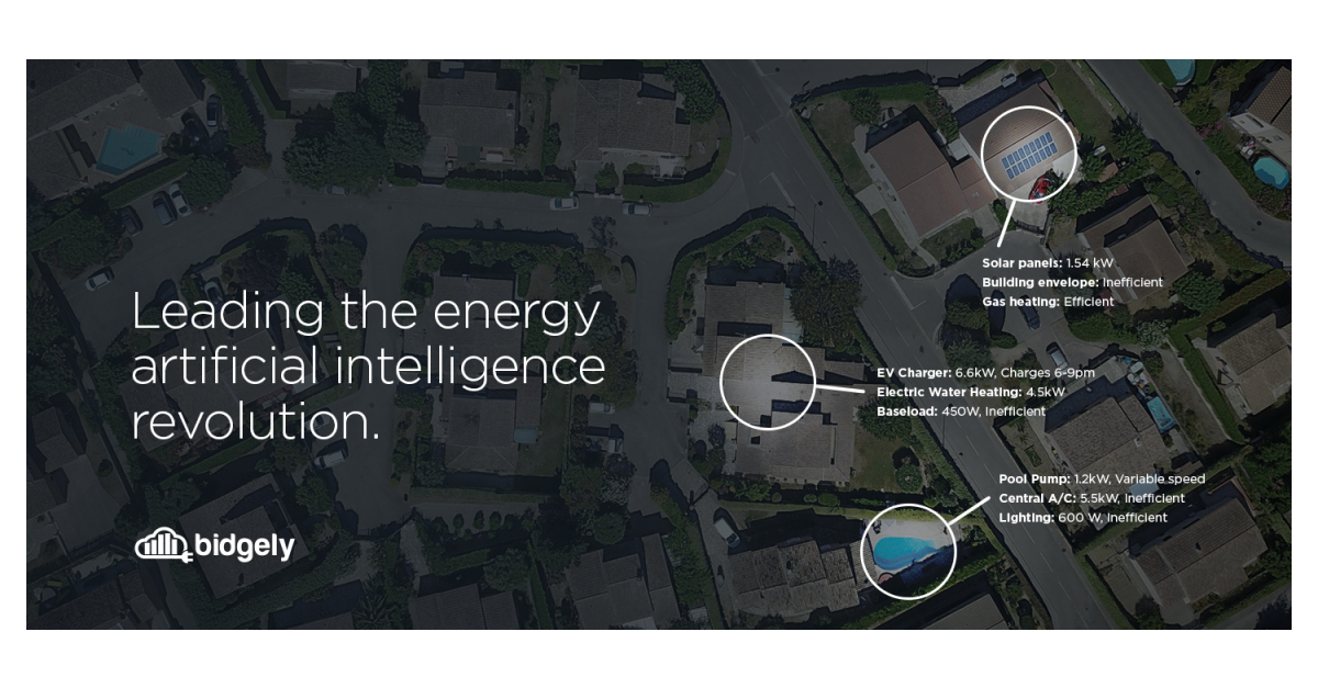Bidgely Strengthens Leadership Position in Utility Artificial ...