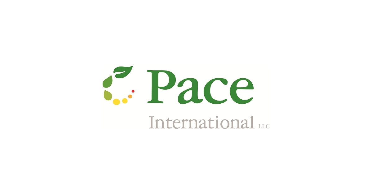 Pace International LLC. names Salman Mir EVP and COO | Business Wire