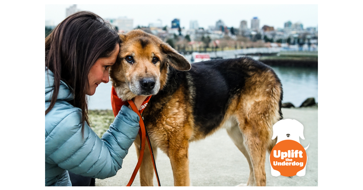 Attention: Dog Rescues and Shelters - Petcurean’s “Uplift the Underdog ...