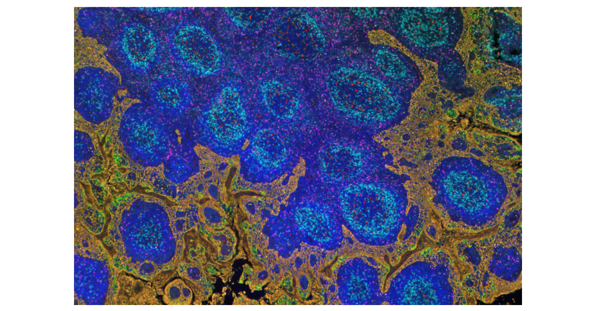 Rapid Multiplexing with Opal® Research Kits Now Available on LabSat ...