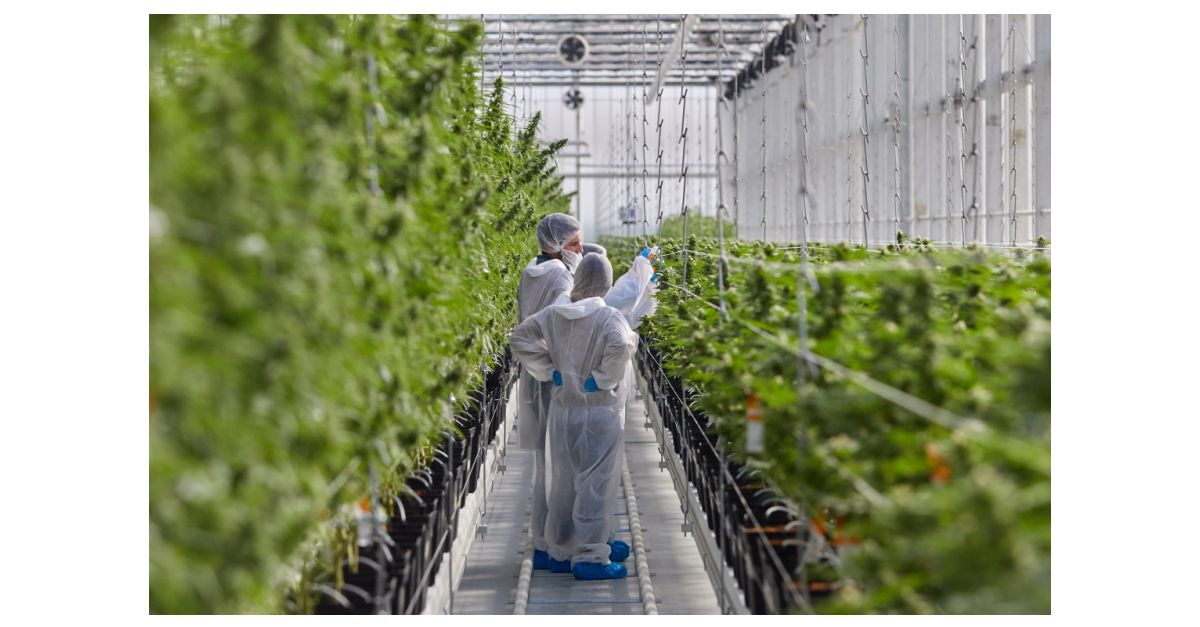 Tilray® Boosts International Export Capacity with Manufacturing License ...