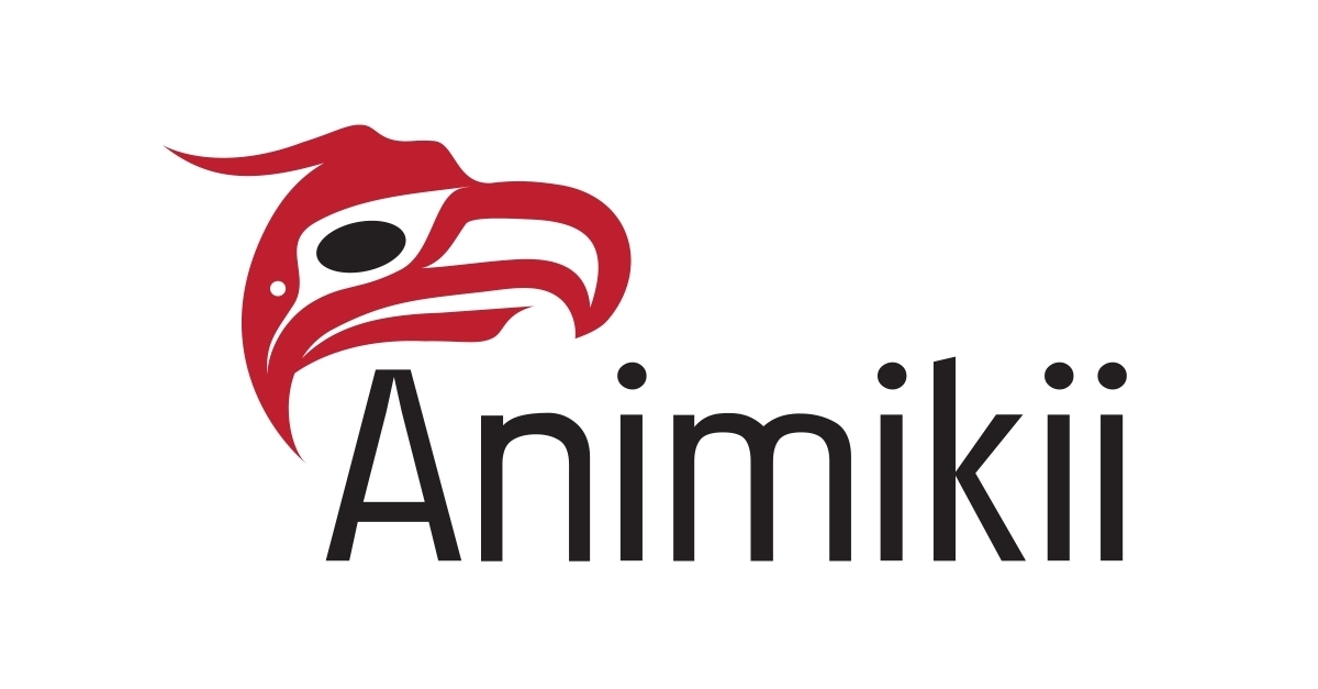 Animikii Raises $1M to Scale Social Impact through Indigenous ...