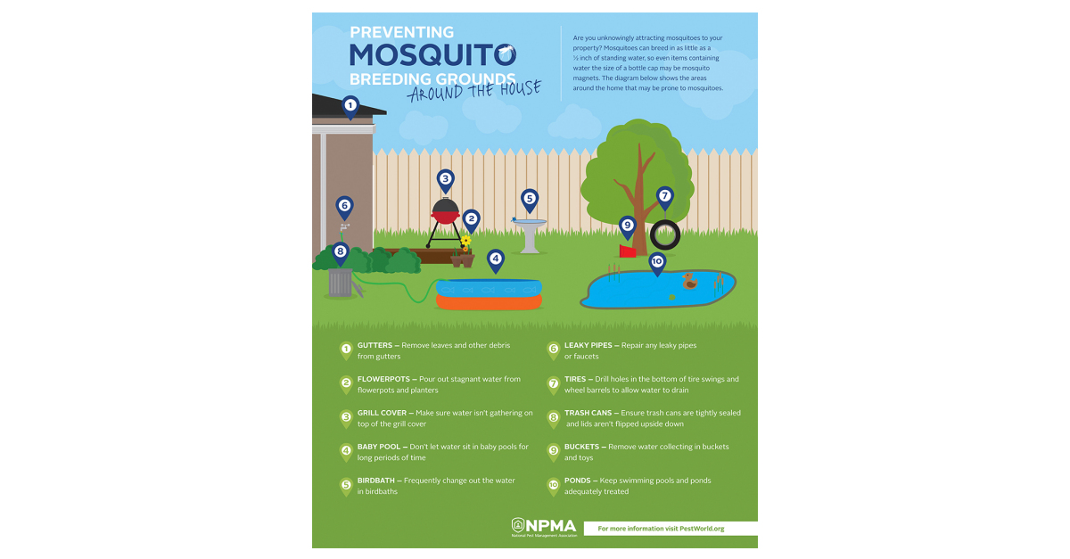 Breeding Power of Mosquitoes Revealed | Business Wire