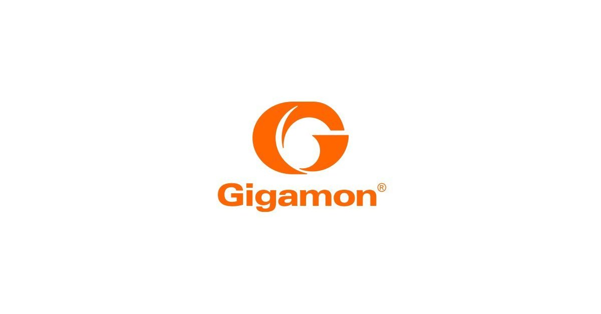 Gigamon Takes Action to Protect Its Intellectual Property | Business Wire