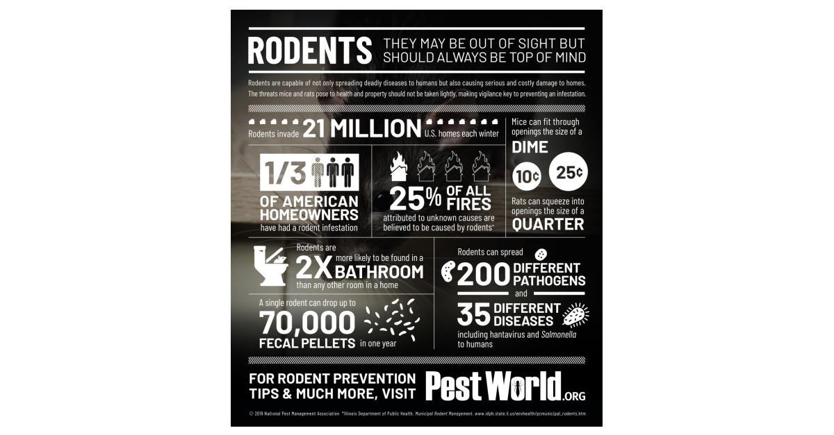 Ratting Out Rodents | Business Wire