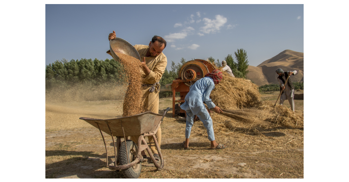 2019 Survey of the Afghan People Reveals Concerns on Peace Deal ...