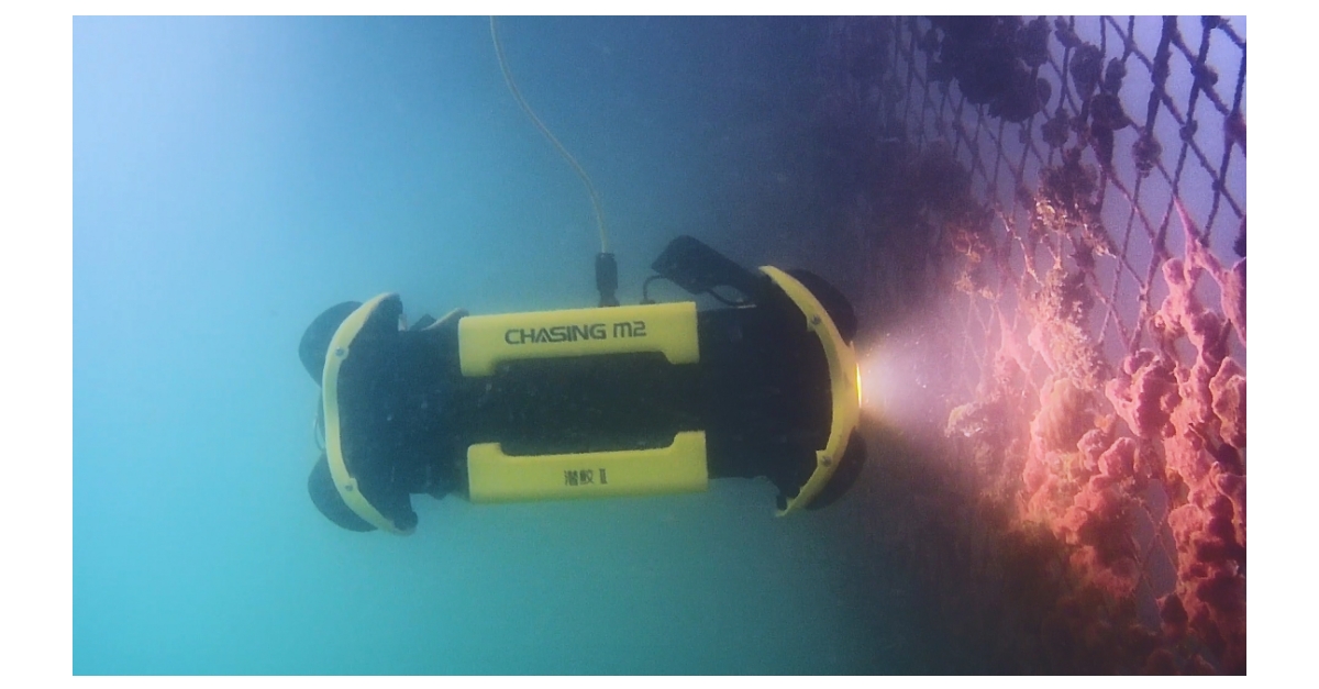 Unveiled at CES2020, CHASING M2 Targets Light-Duty Business Market ...