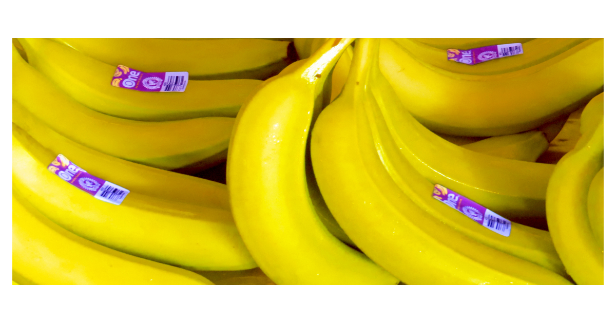 ONE Banana zertifiziert Bio-Produktion gemäß FAIRTRADE-Standard ...