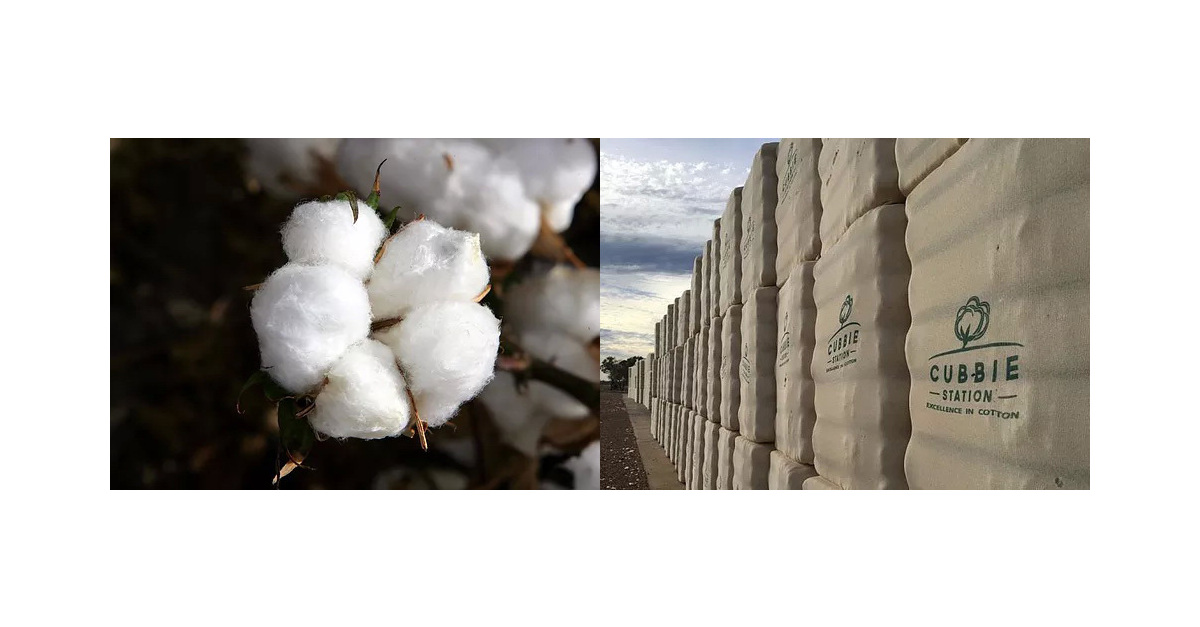 Ruyi’s Cubbie Station Is About to Receive a Bumper Cotton Harvest ...