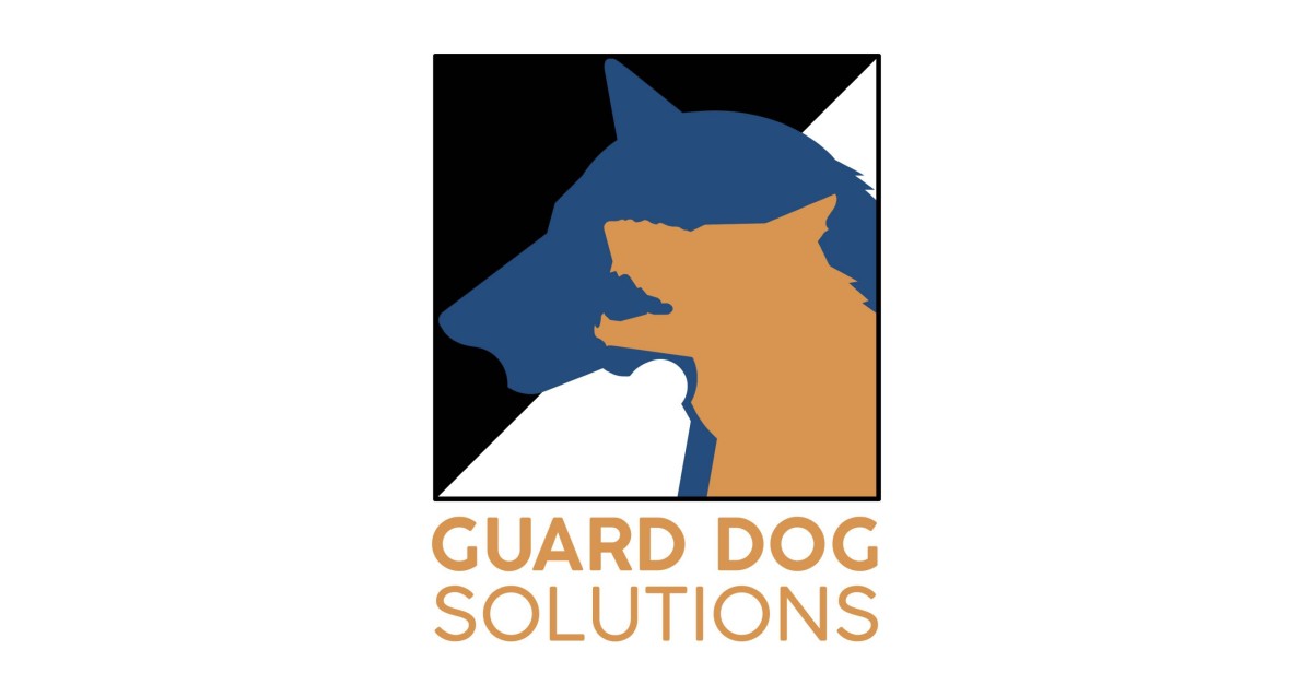 Concerned About Wi-Fi Security? Guard Dog Solutions Premieres First AI ...